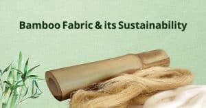 What Is Bamboo Fabric? Types, Properties, Applications